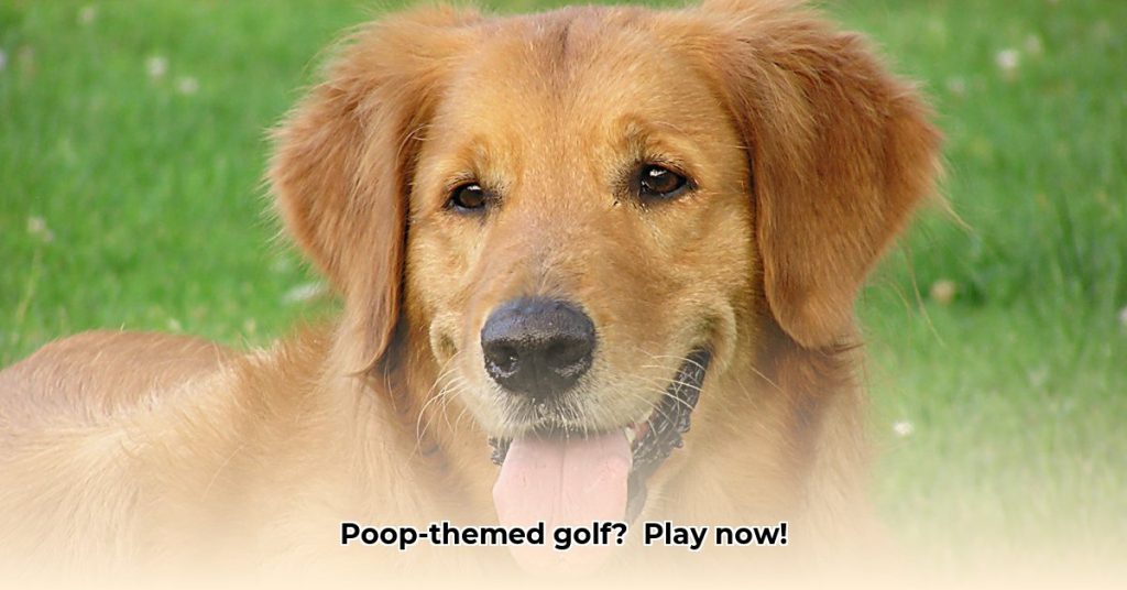 Viral Dog Poo Golf: Browser Game Hit - Daily Golf